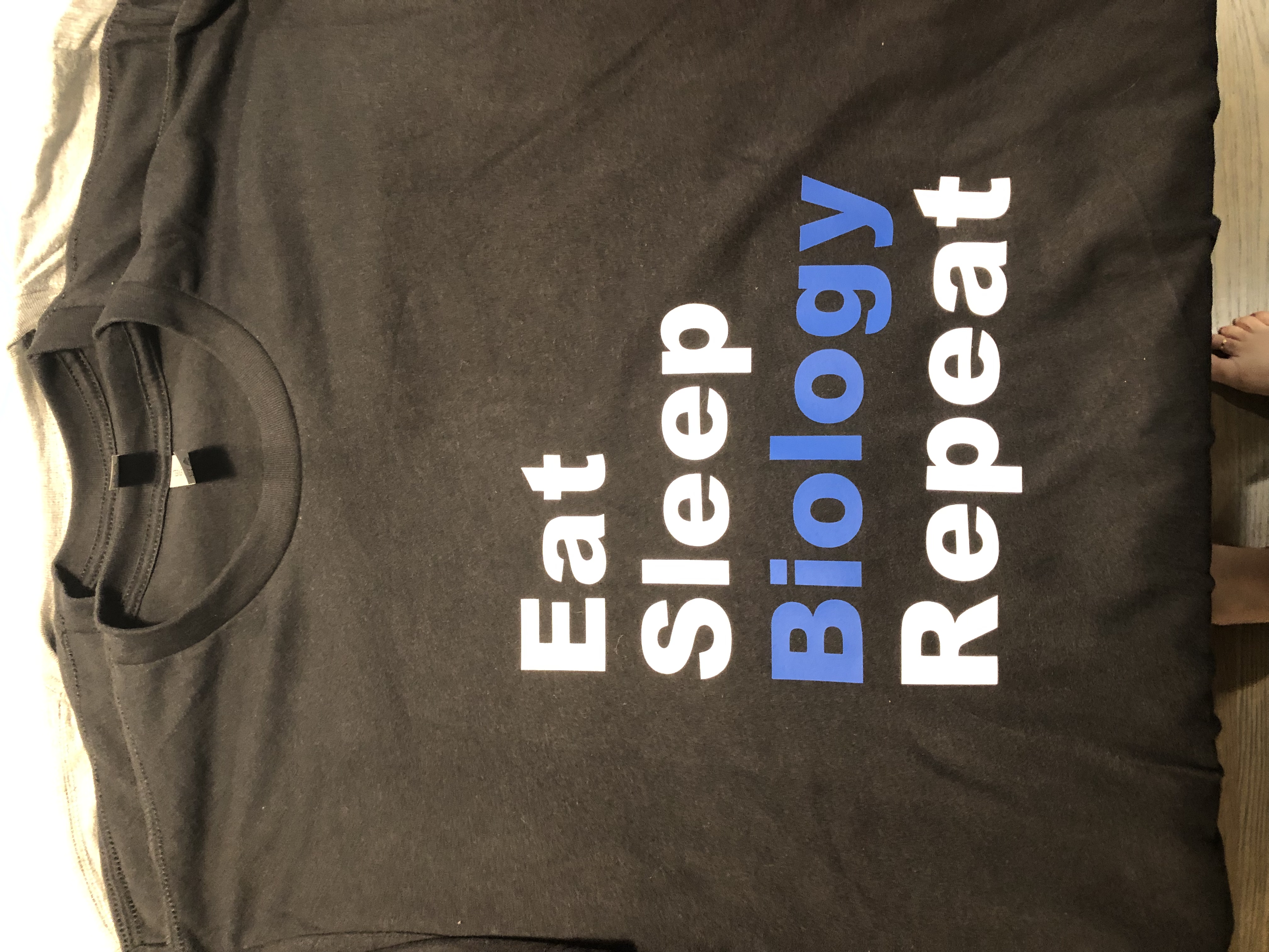 Next Level 6410 Men's Sueded Crew | Jiffy Shirts